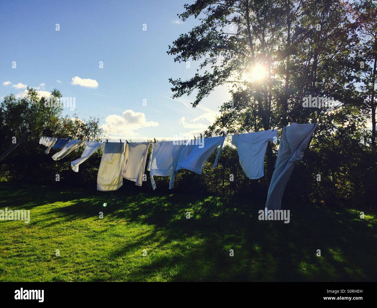 Laundry trees hi-res stock photography and images - Alamy