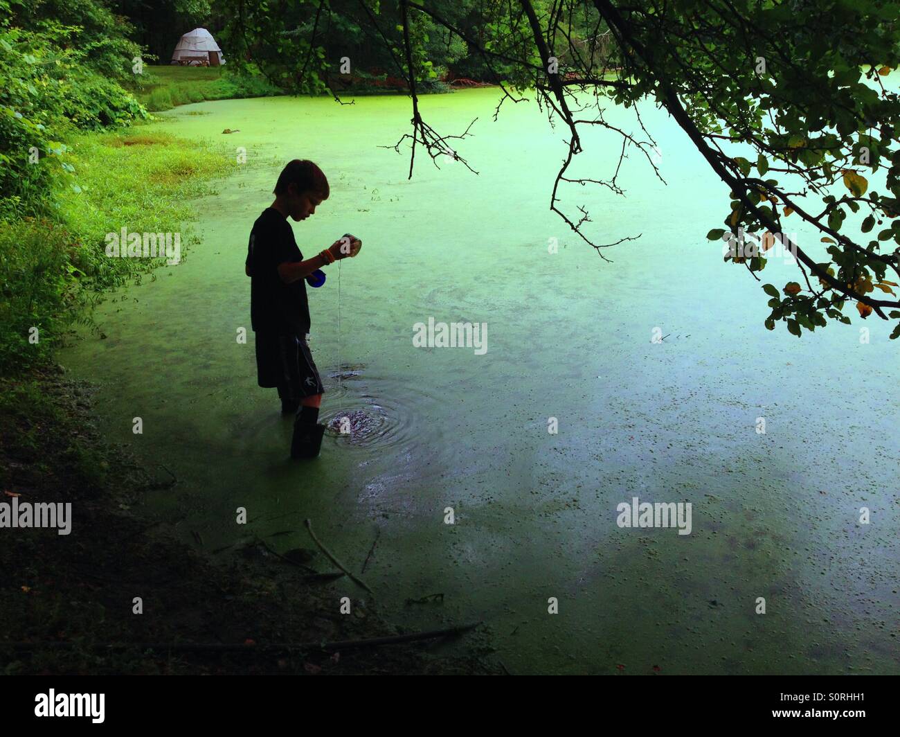 Boy playing in pond algae Stock Photo - Alamy