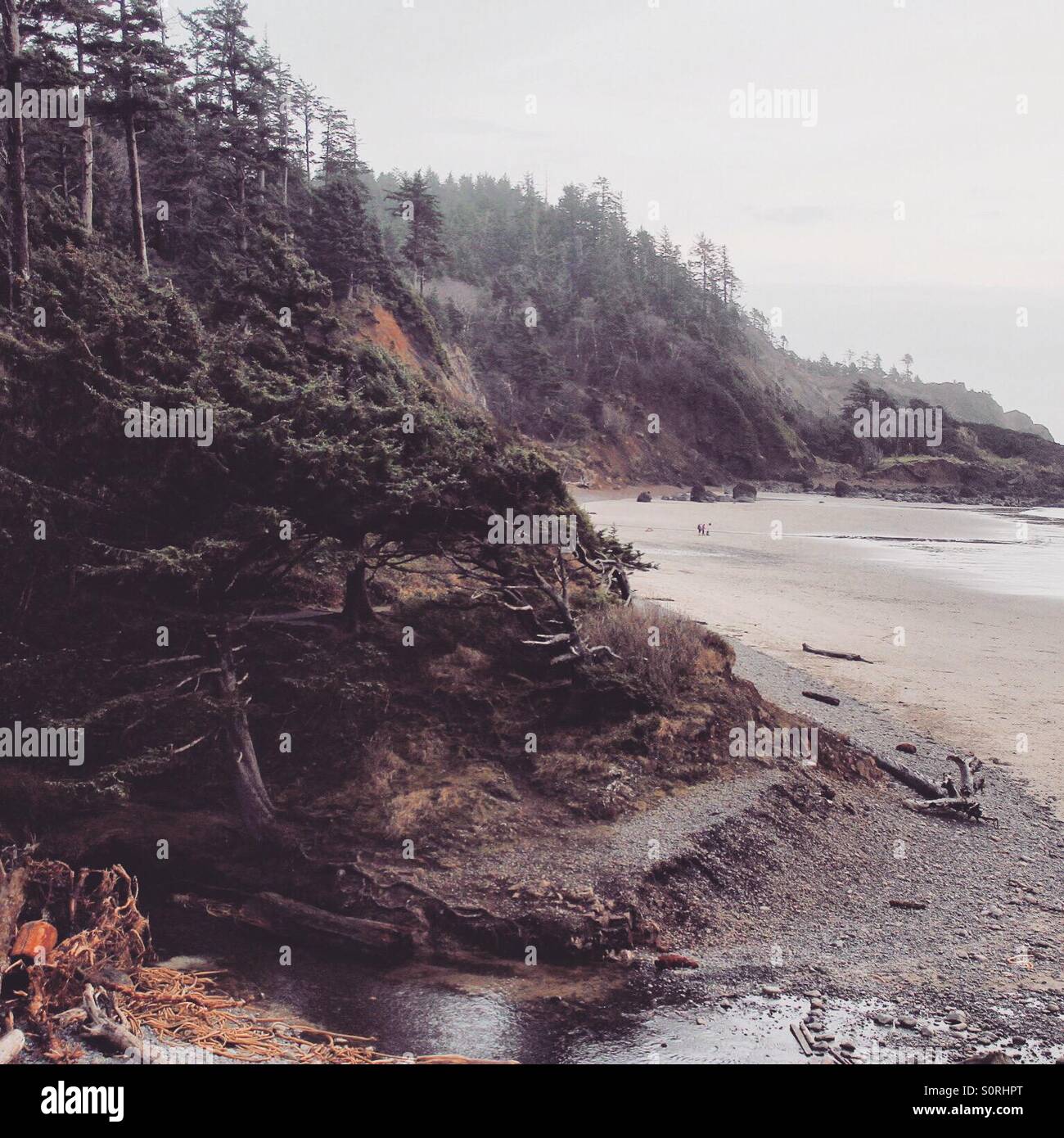Beach edge hi-res stock photography and images - Alamy