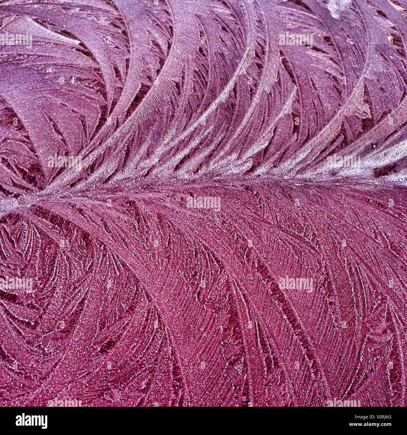 Car bonnet hi-res stock photography and images - Alamy