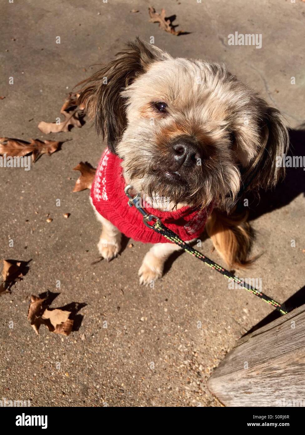 Red friend hi-res stock photography and images - Alamy