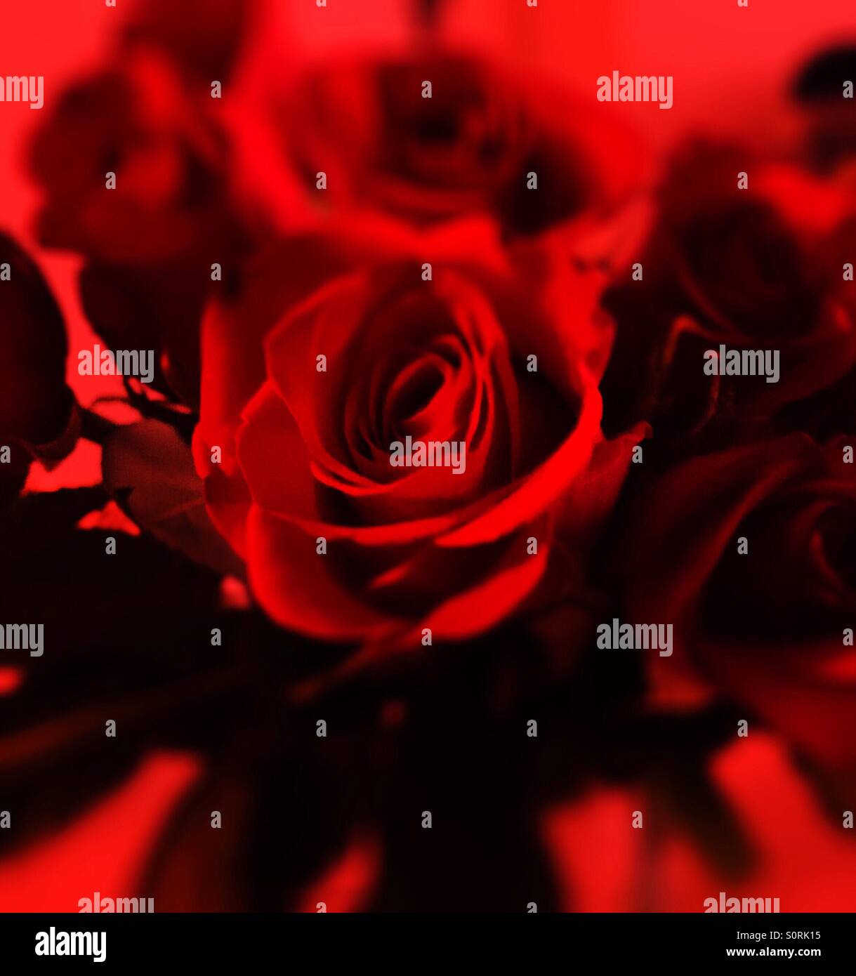 Red filter hi-res stock photography and images - Alamy