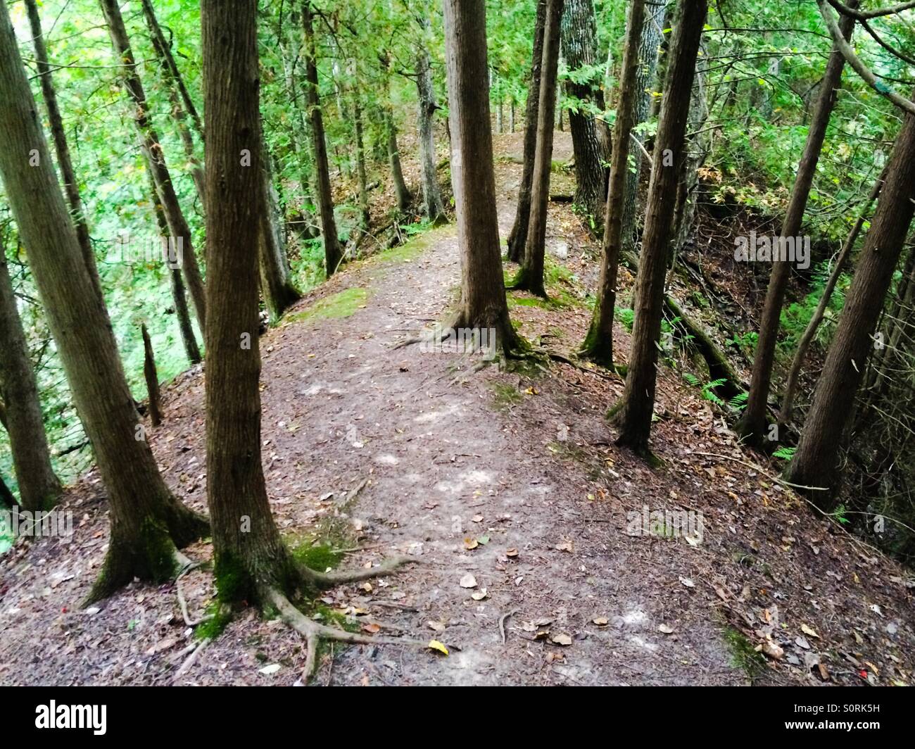 Unique stay hi-res stock photography and images - Alamy