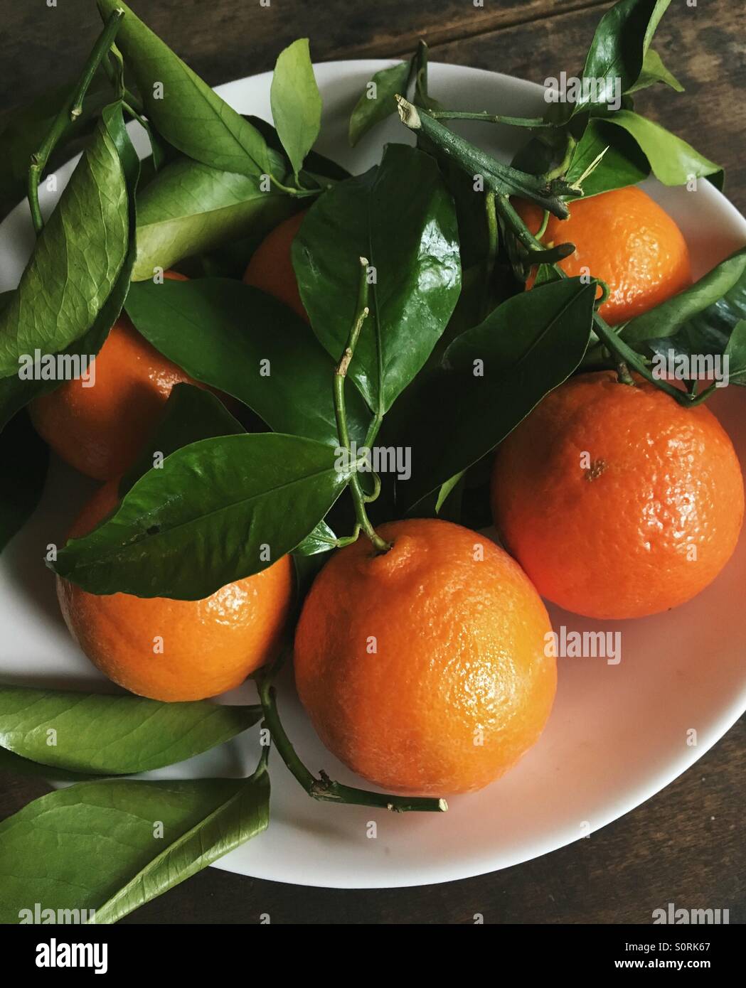 Satsuma with leaves hi-res stock photography and images - Alamy