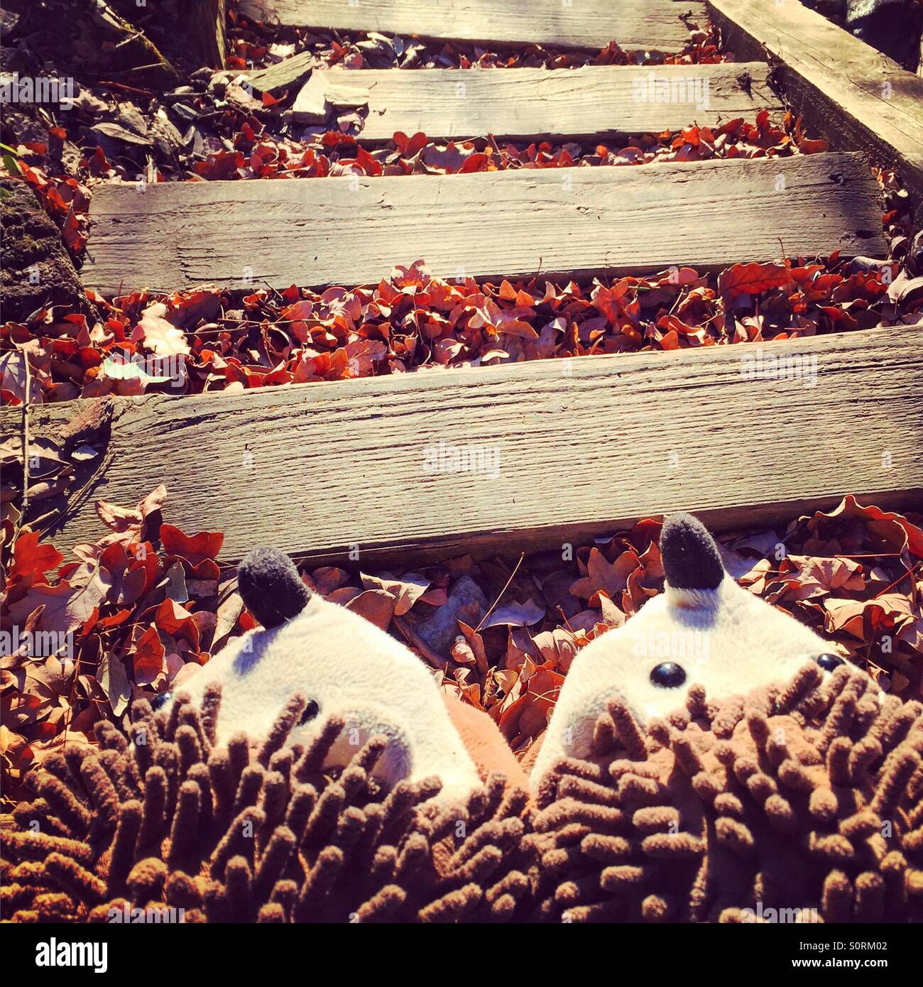 Slippers in the garden stairs Stock Photo - Alamy