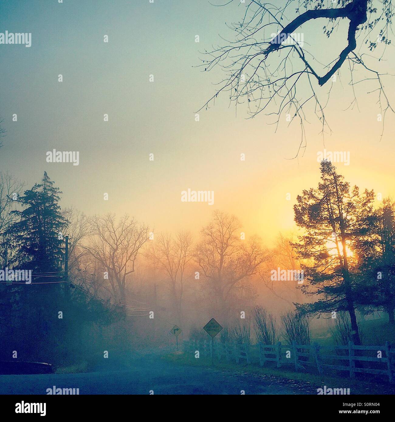 Tree trees farm land dawn hi-res stock photography and images - Alamy