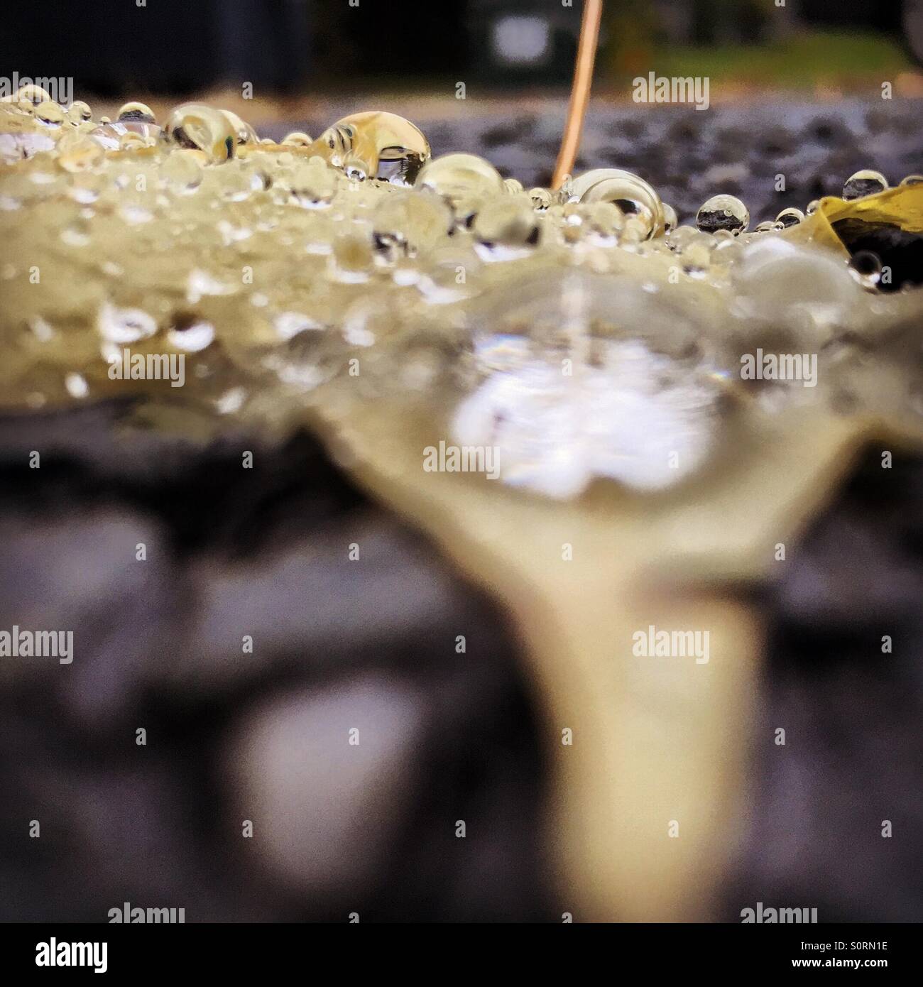 Bug's eye view Stock Photo - Alamy