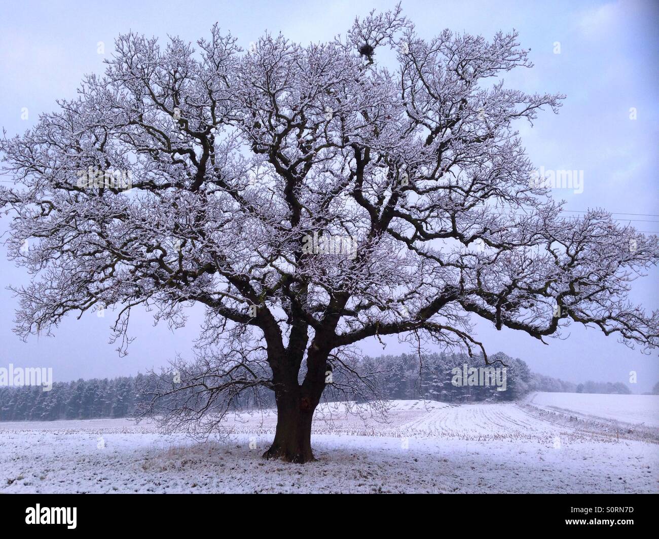 Snow covered farmers field hi-res stock photography and images - Alamy