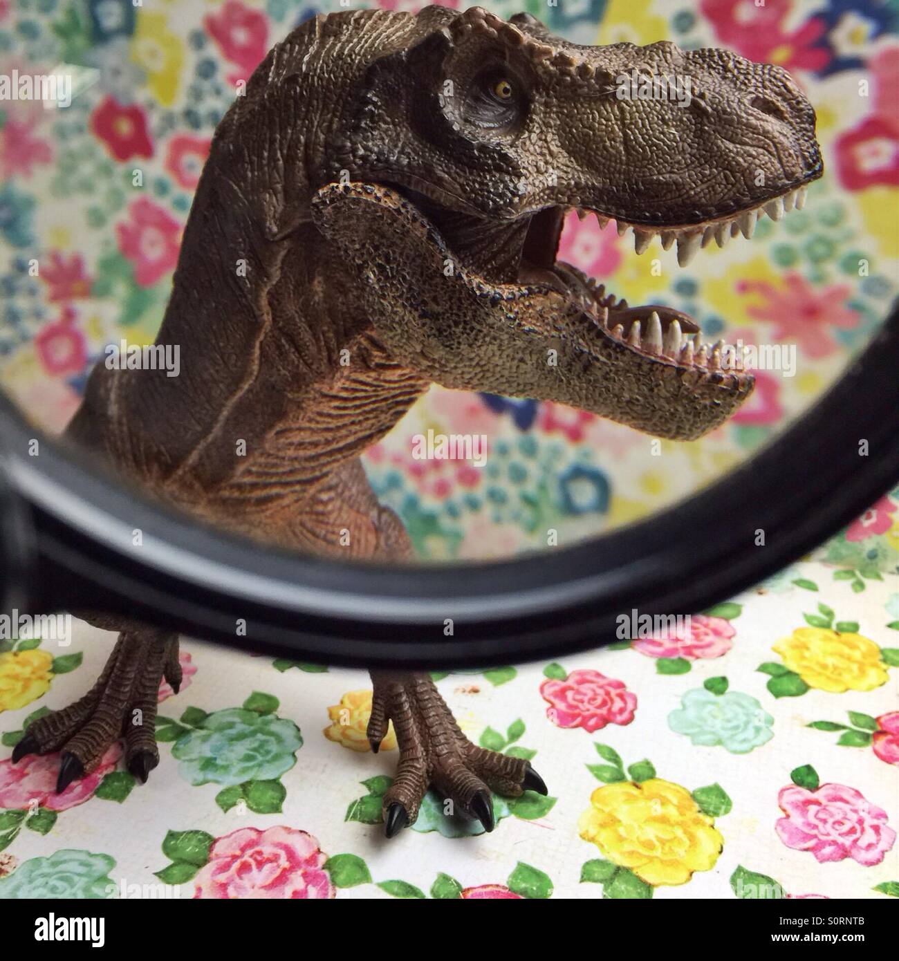 Toy Dinosaur through magnifying glass Stock Photo - Alamy