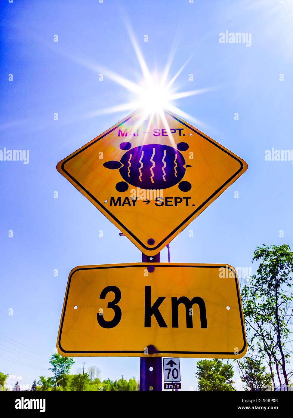 Turtle crossing sign hi-res stock photography and images - Alamy