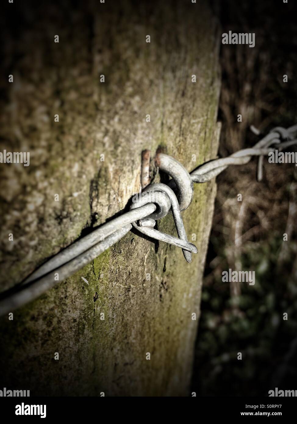 Barbed wire close up detail showing spikes Stock Photo - Alamy