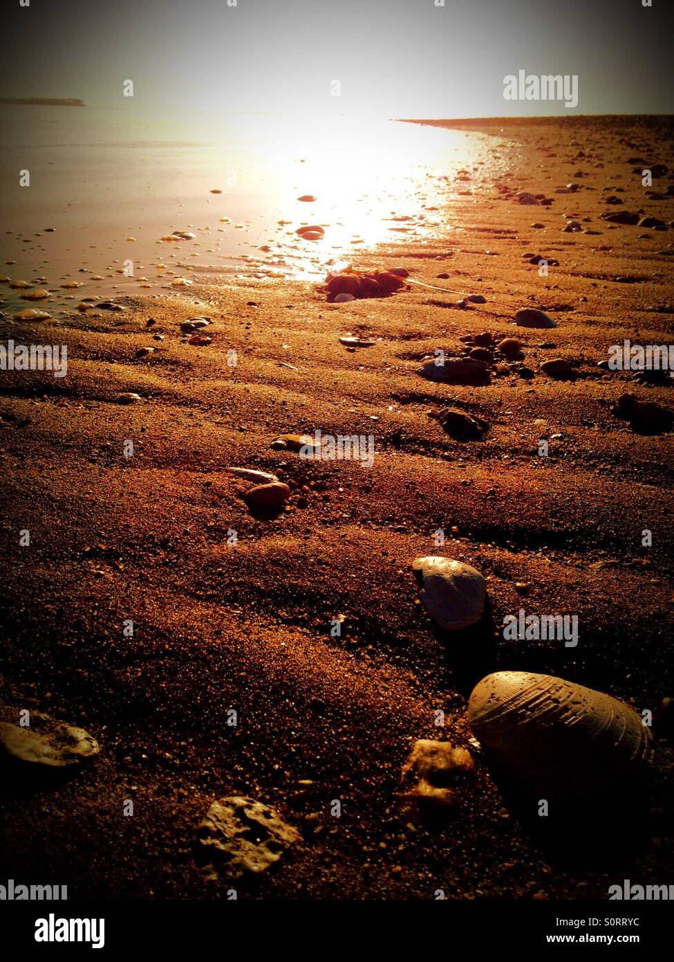 Shoreline peace hi-res stock photography and images - Alamy