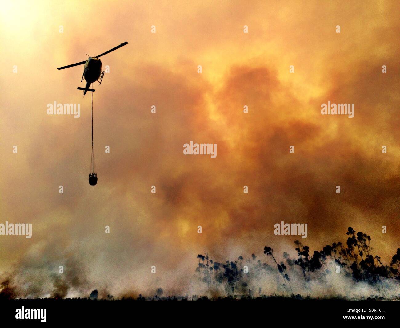 Veld fire hi-res stock photography and images - Alamy