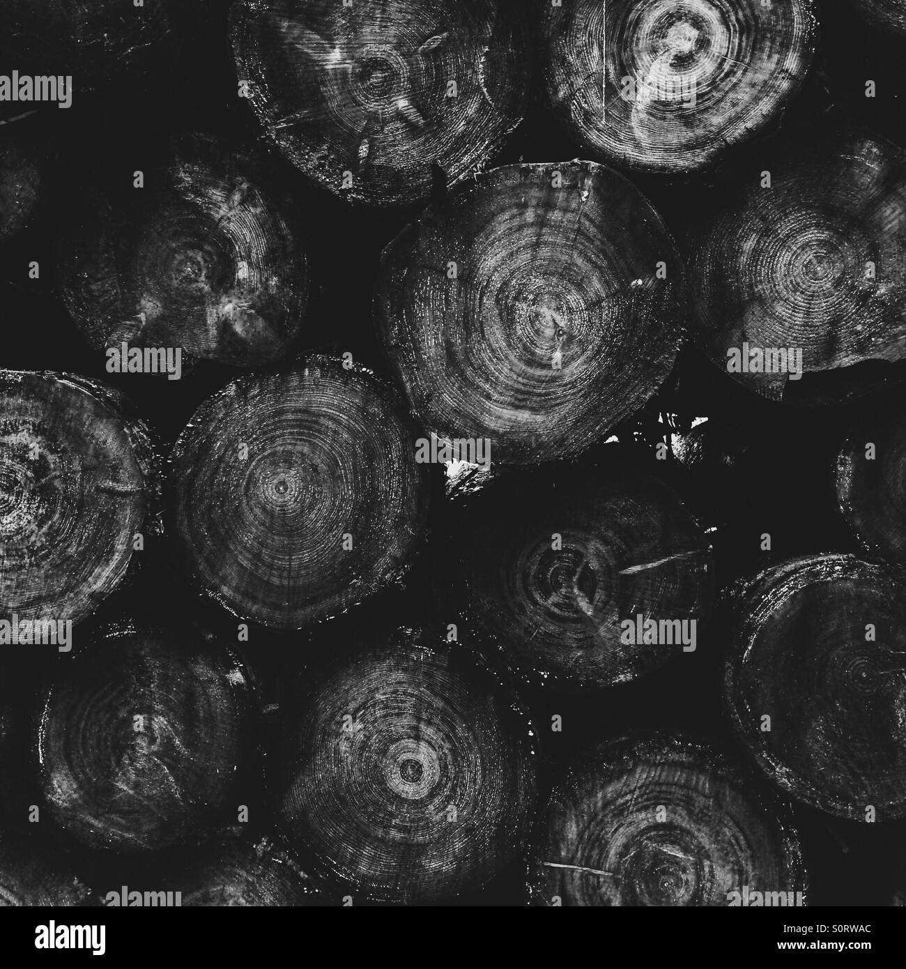 Stacked grain Black and White Stock Photos & Images - Alamy