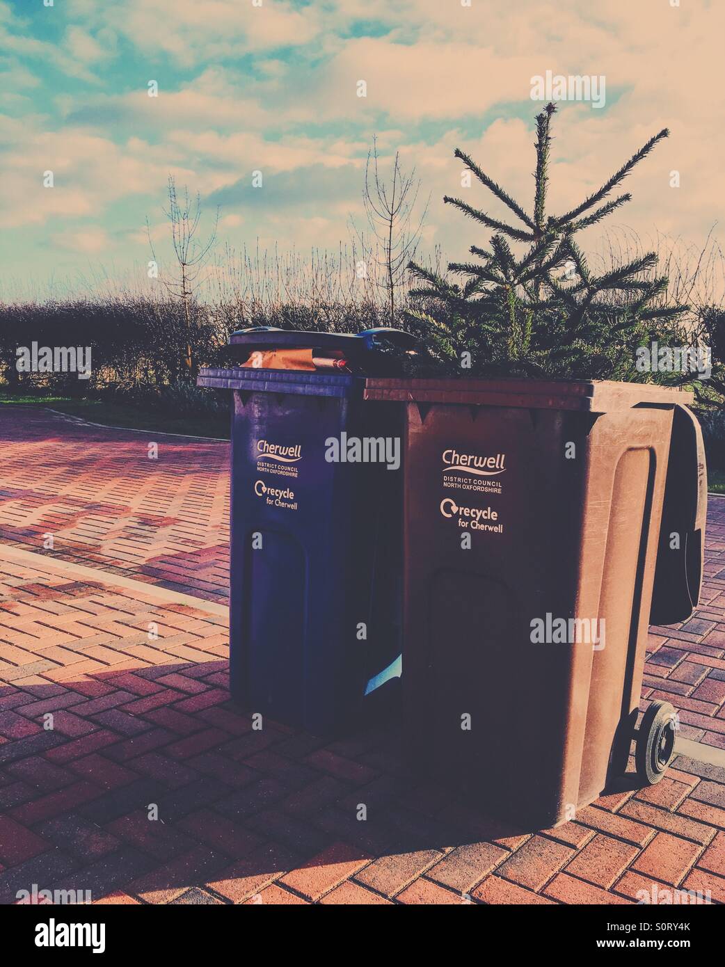 Christmas tree in bin hi-res stock photography and images - Alamy