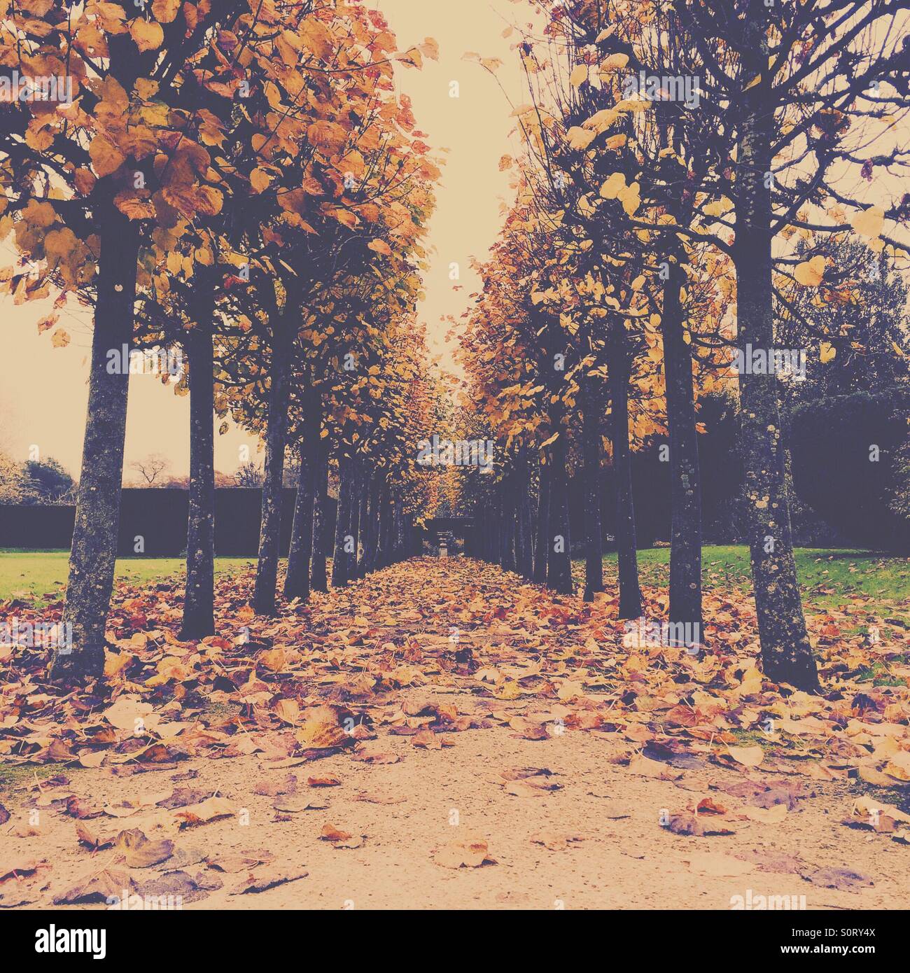 Pathway convergence hi-res stock photography and images - Alamy