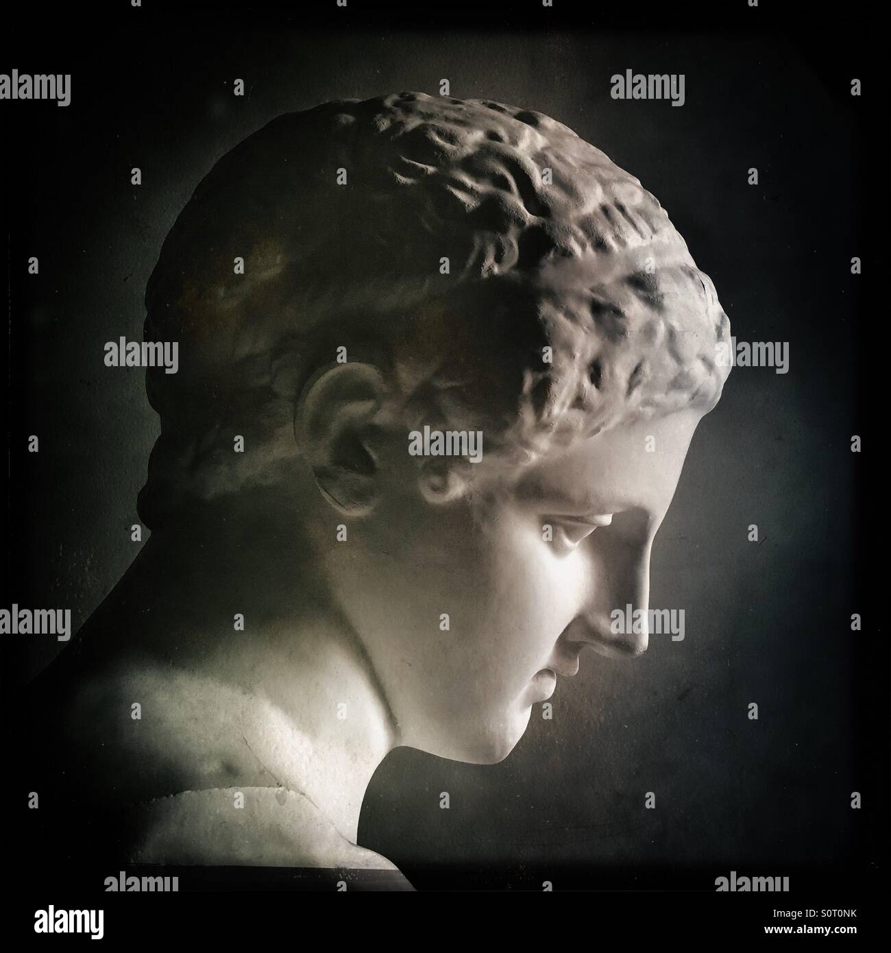 Classical bust and profile hi-res stock photography and images - Alamy