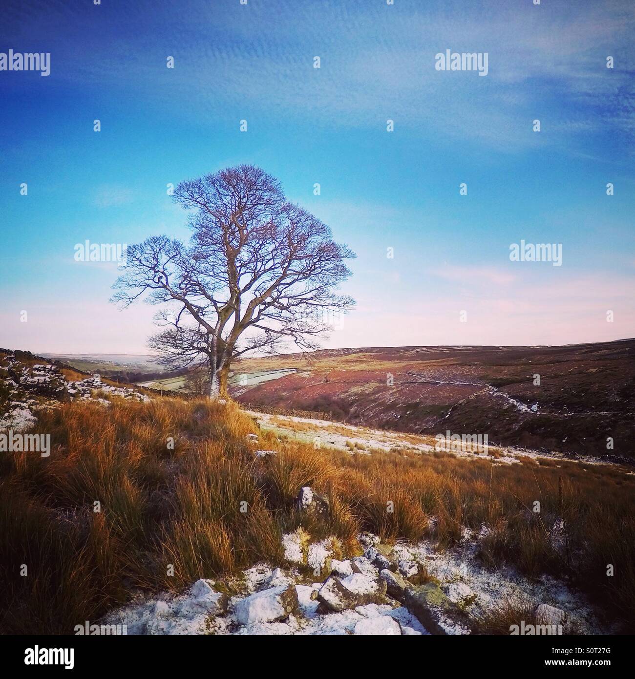Haworth Moors High Resolution Stock Photography and Images - Alamy