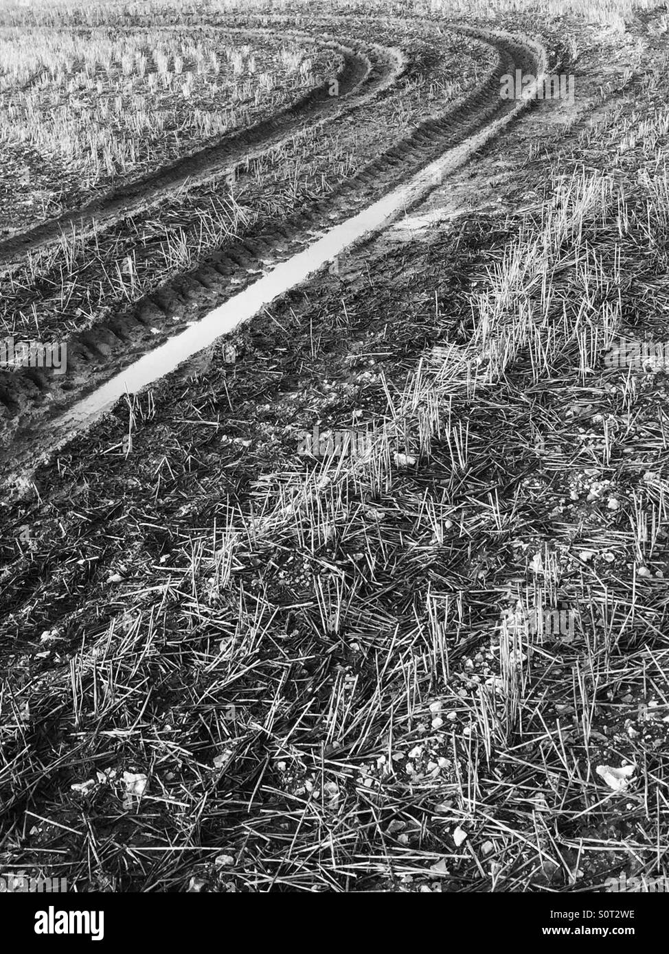 Tractor tracks in a field Stock Photo - Alamy
