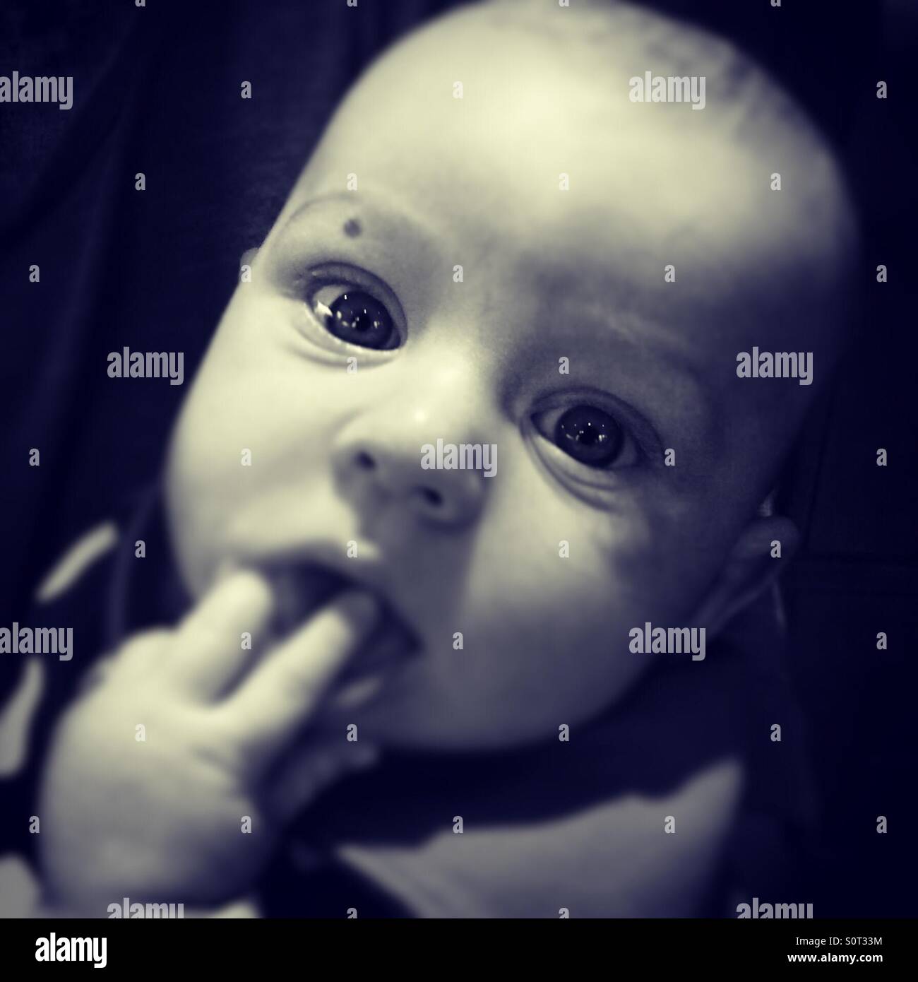 Loving Gaze High Resolution Stock Photography and Images - Alamy