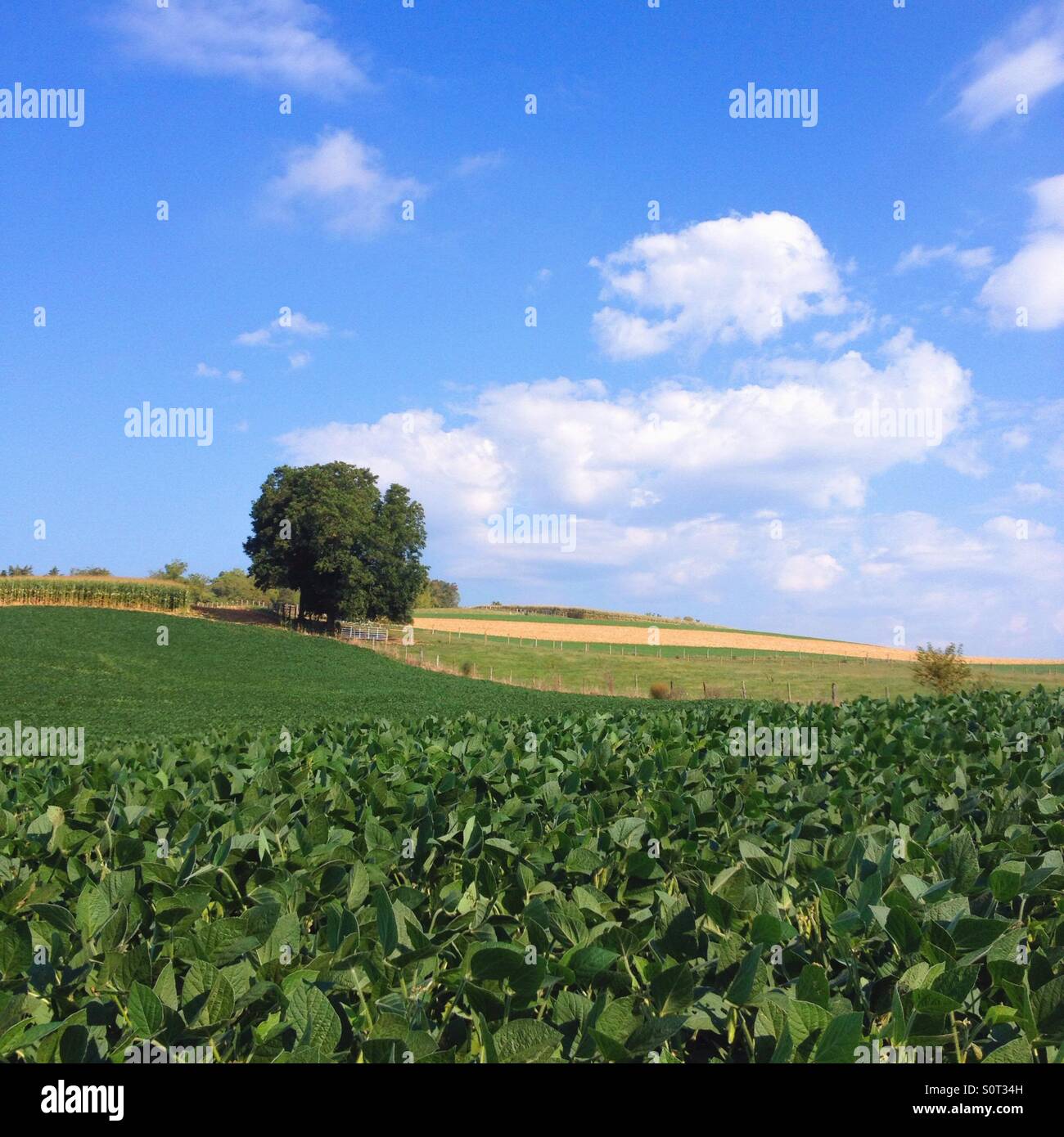 Country scenery hi-res stock photography and images - Alamy