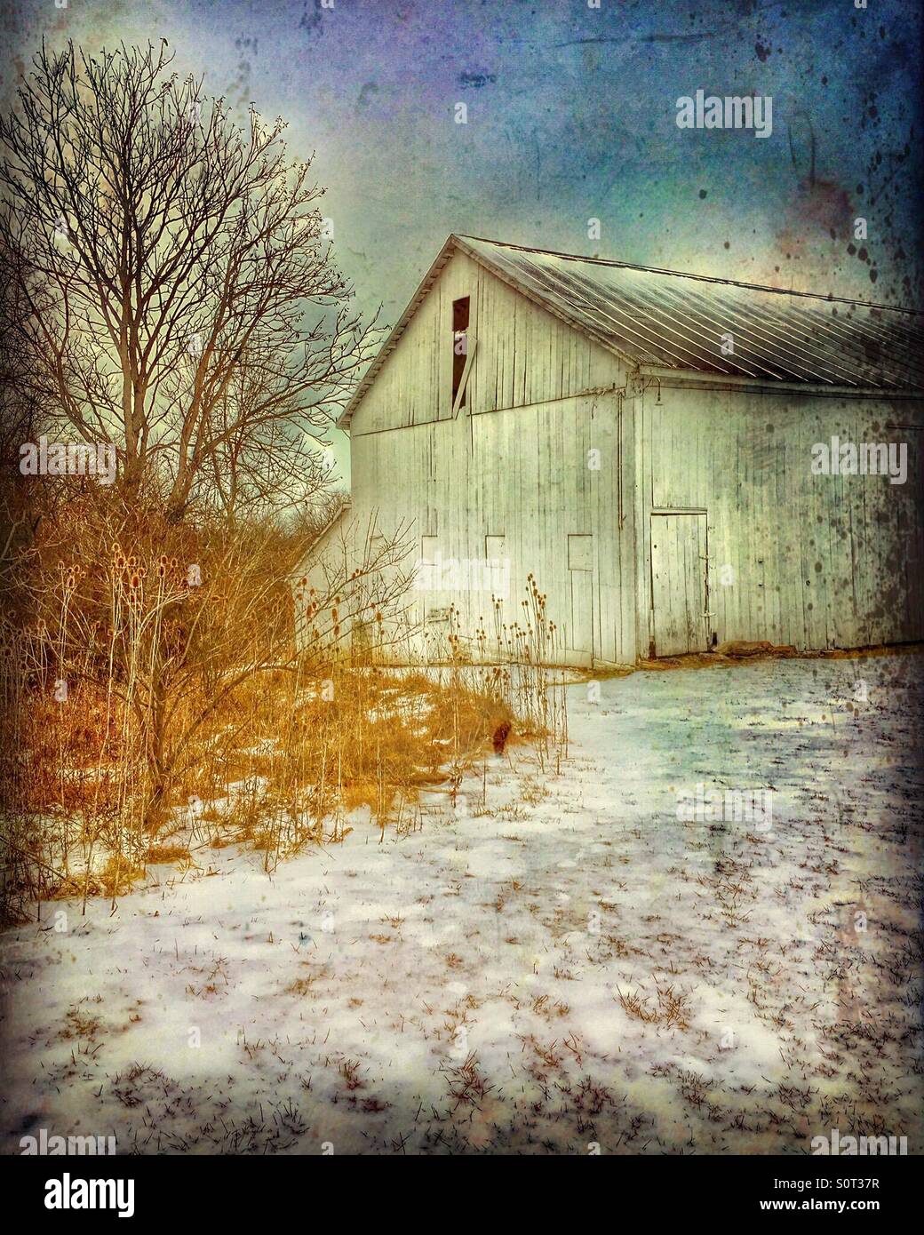 An old white barn in the snow Stock Photo - Alamy