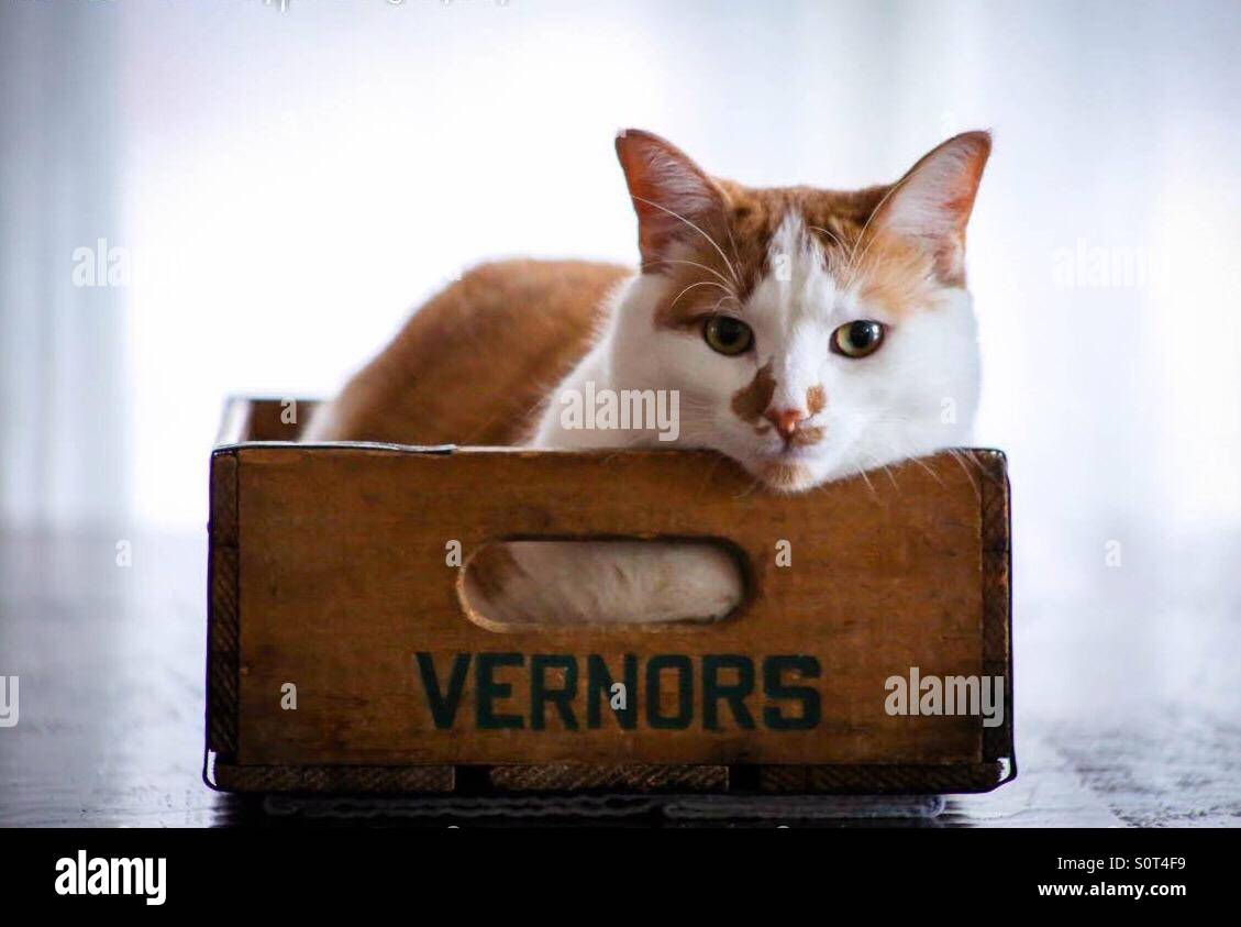 Vernor hi-res stock photography and images - Alamy