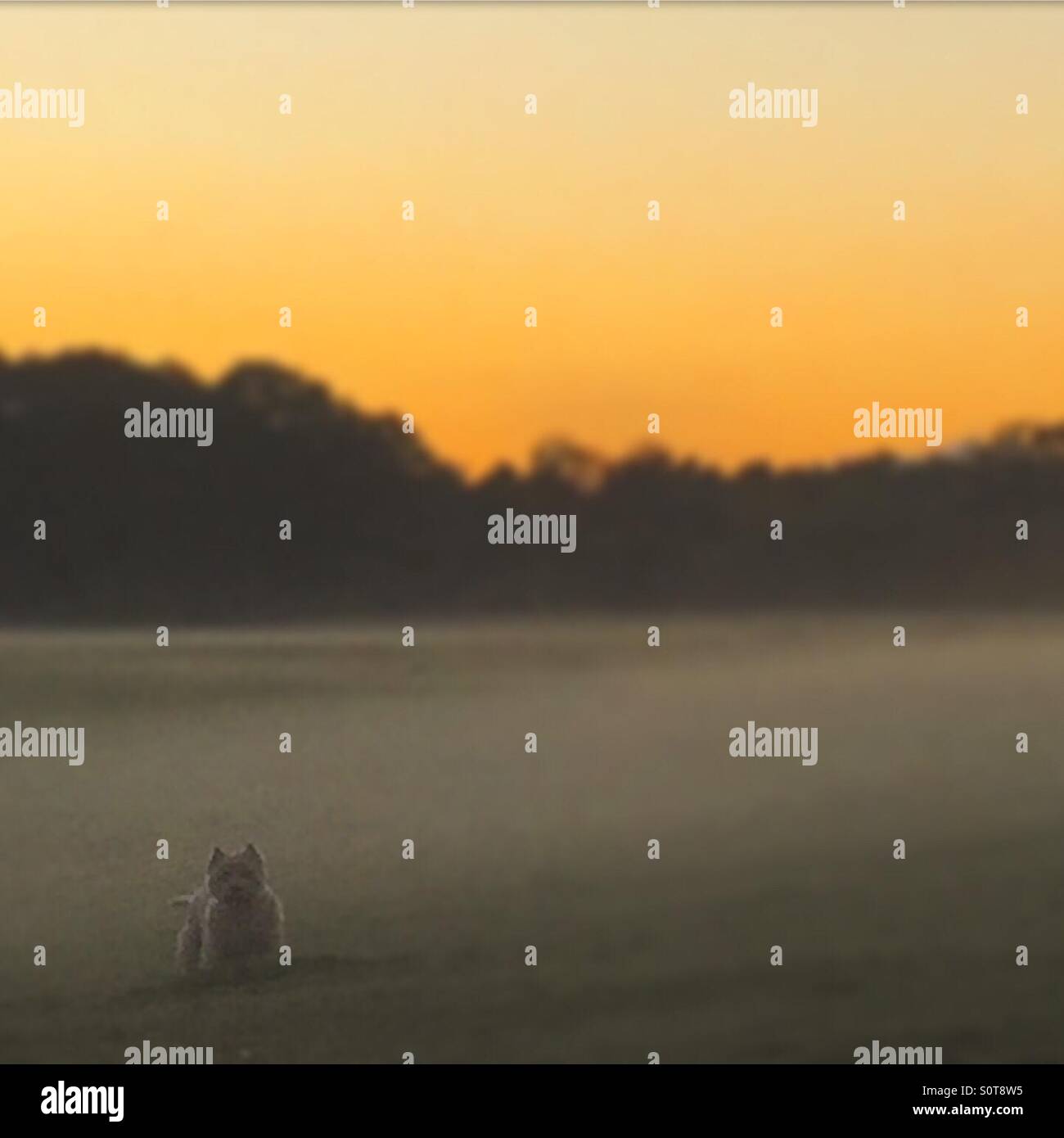 Friend sky hi-res stock photography and images - Alamy