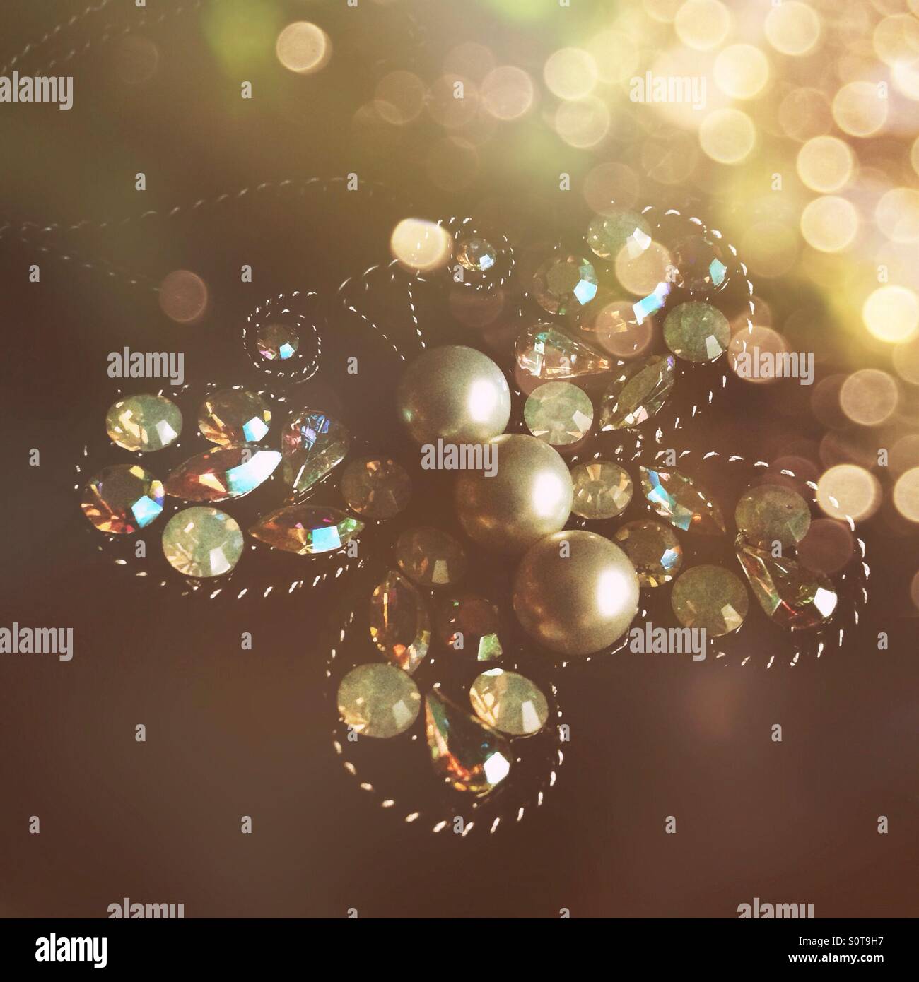 Precious butterfly hi-res stock photography and images - Alamy