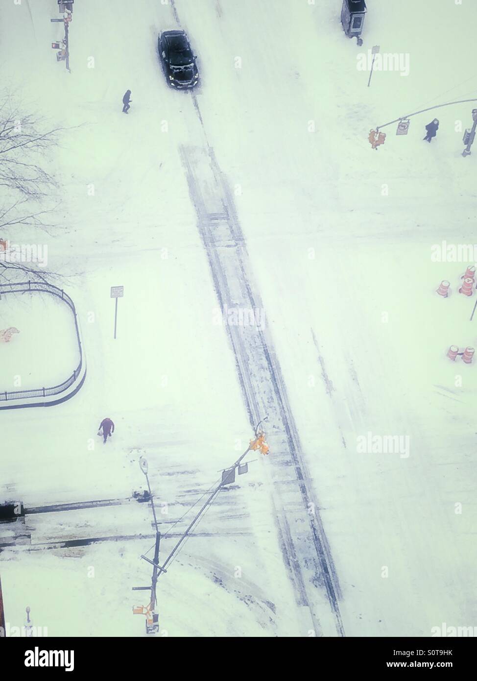 White out snowstorm hi-res stock photography and images - Alamy