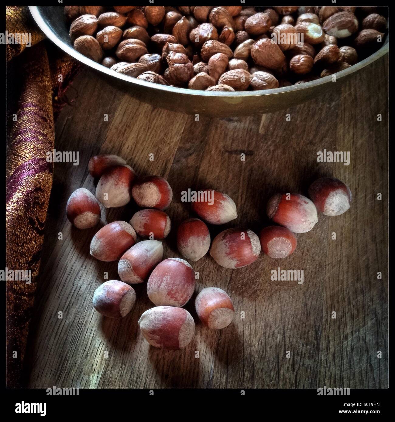 Spanish hazelnut hi-res stock photography and images - Alamy