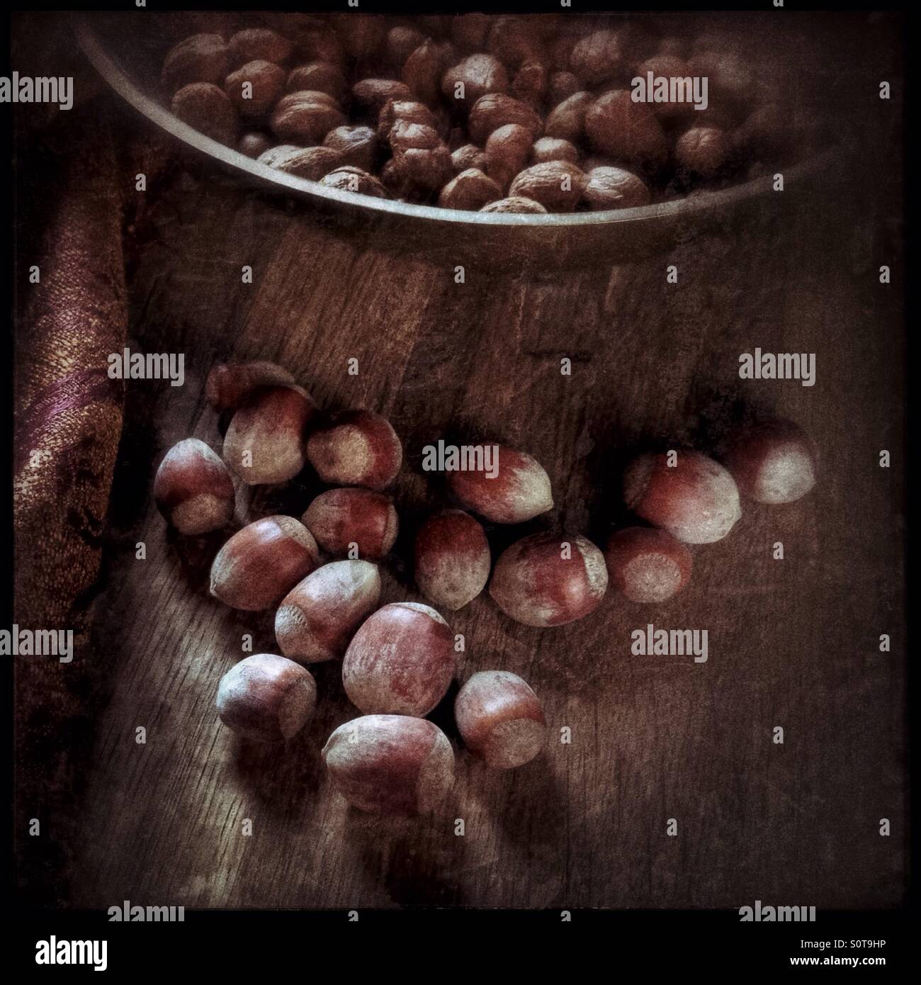 Fresh spanish hazelnuts hi-res stock photography and images - Alamy