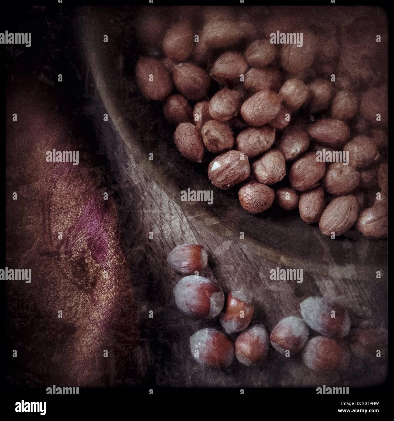 Spanish hazelnut hi-res stock photography and images - Alamy