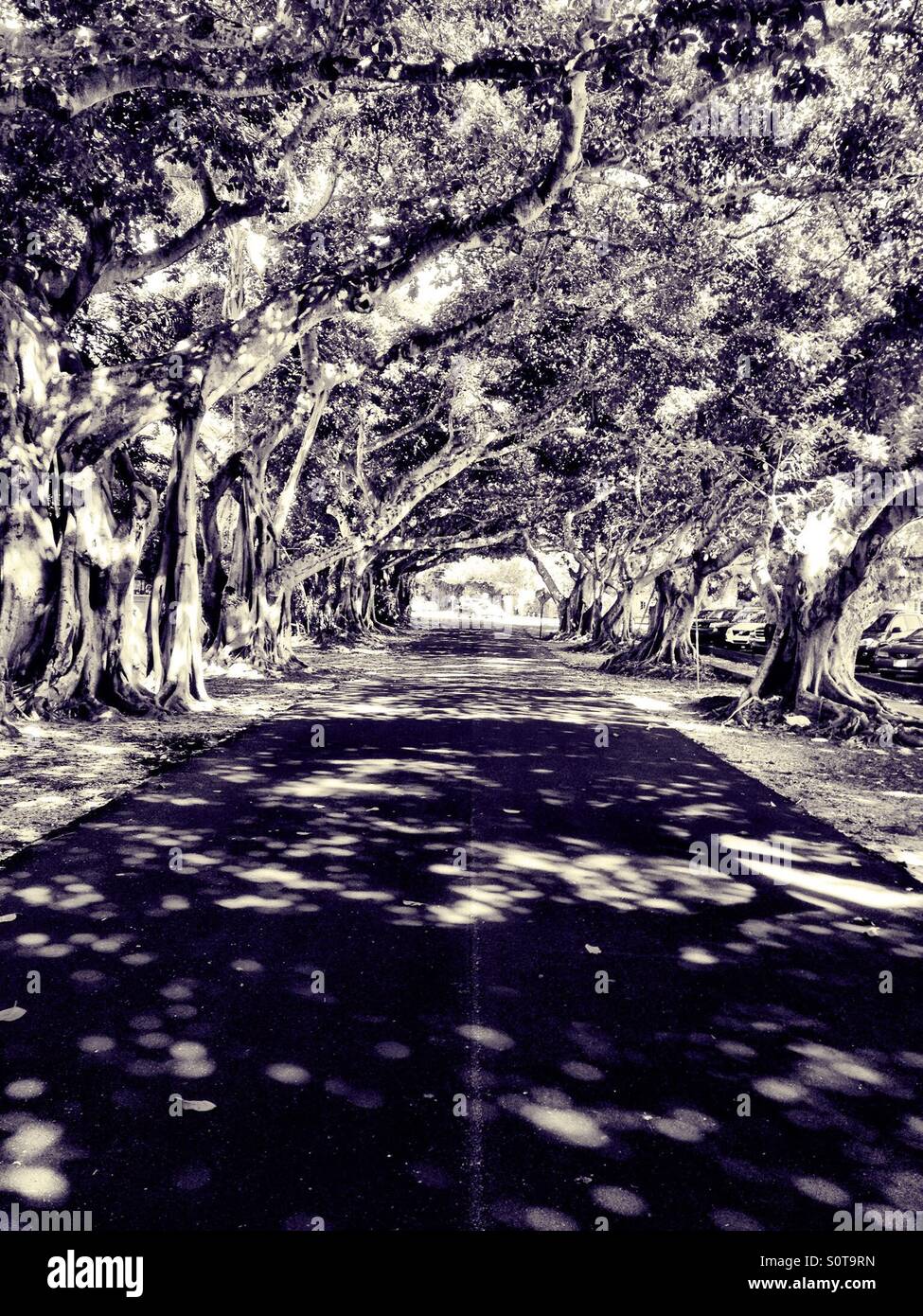 Road miami hi-res stock photography and images - Alamy