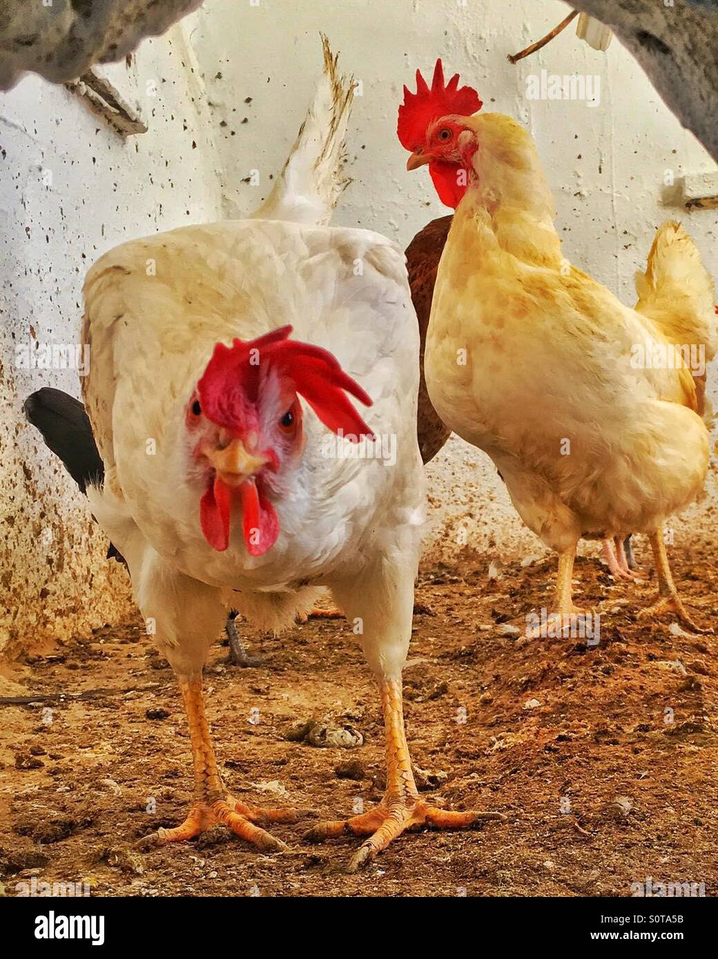 Who is out there Stock Photo - Alamy