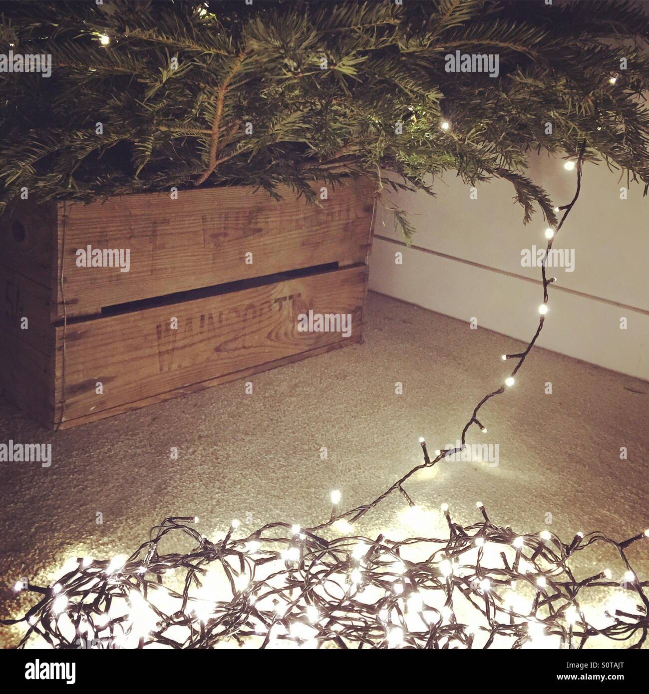Taking down tree hi-res stock photography and images - Alamy