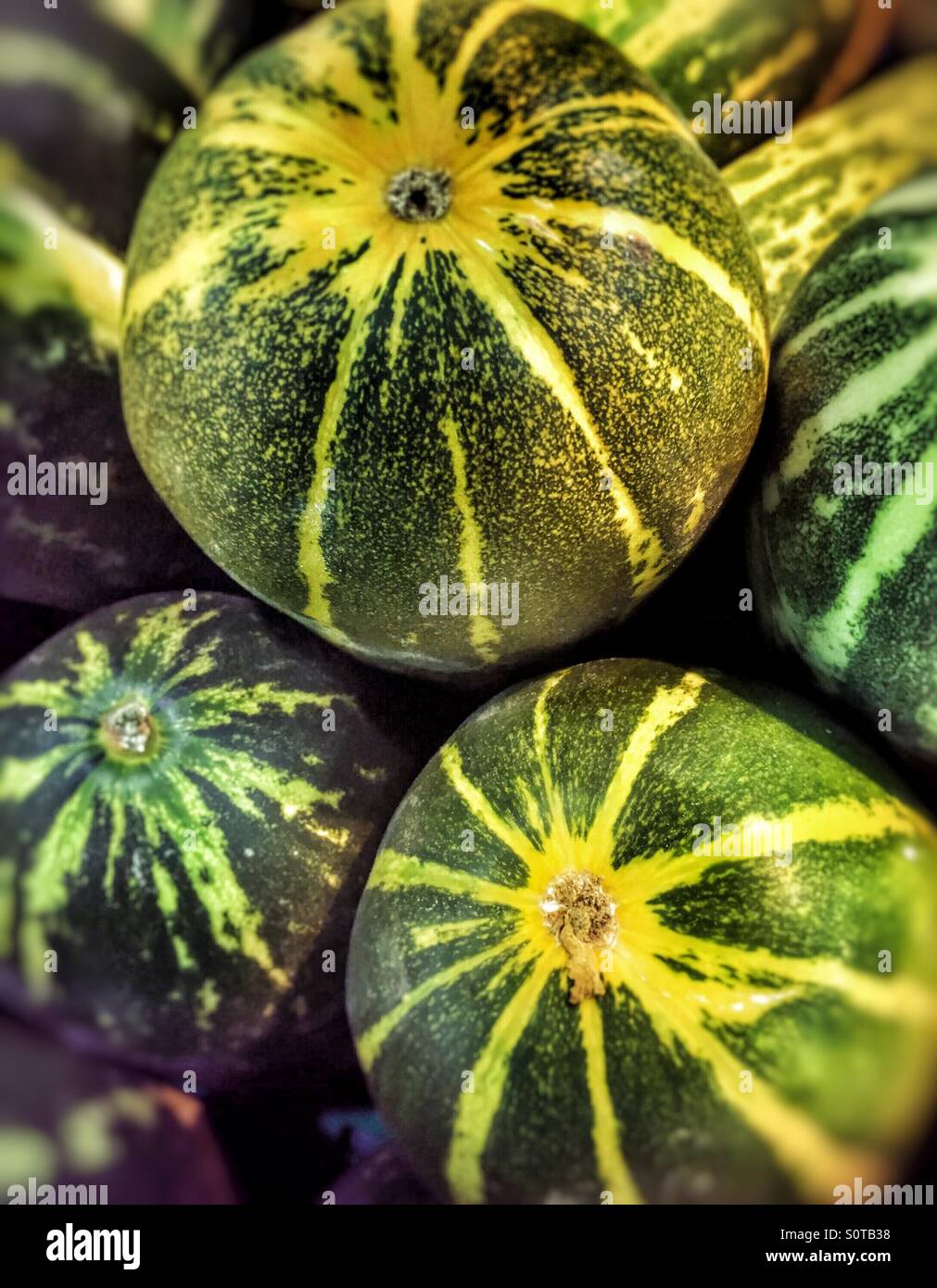 Watermelon displayed at a supermarket Stock Photo - Alamy