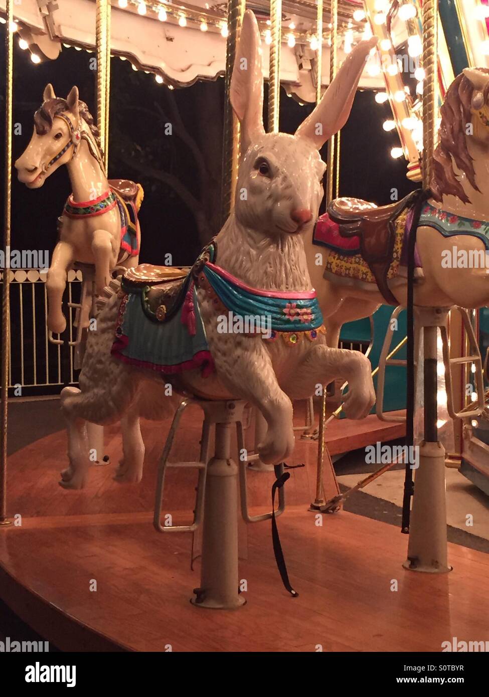 Strange rabbit hi-res stock photography and images - Alamy