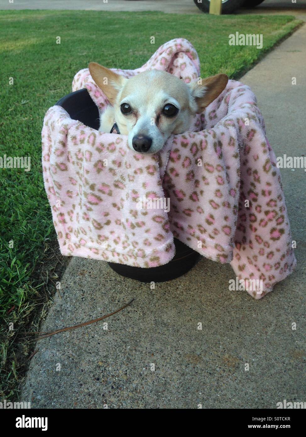 Comfy hi-res stock photography and images - Alamy