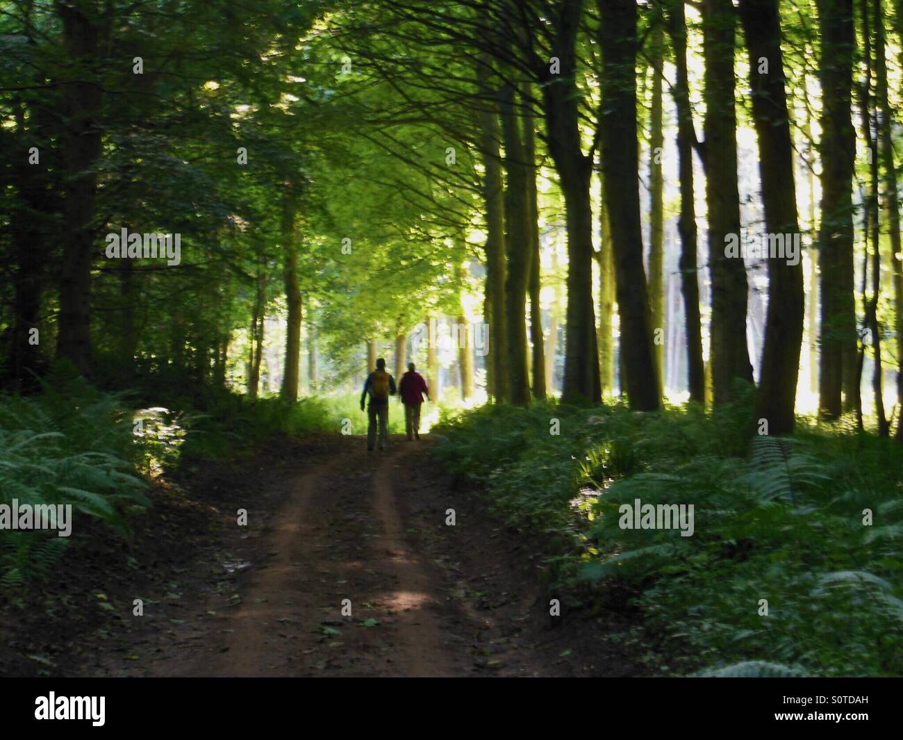 Romantic walk hi-res stock photography and images - Alamy