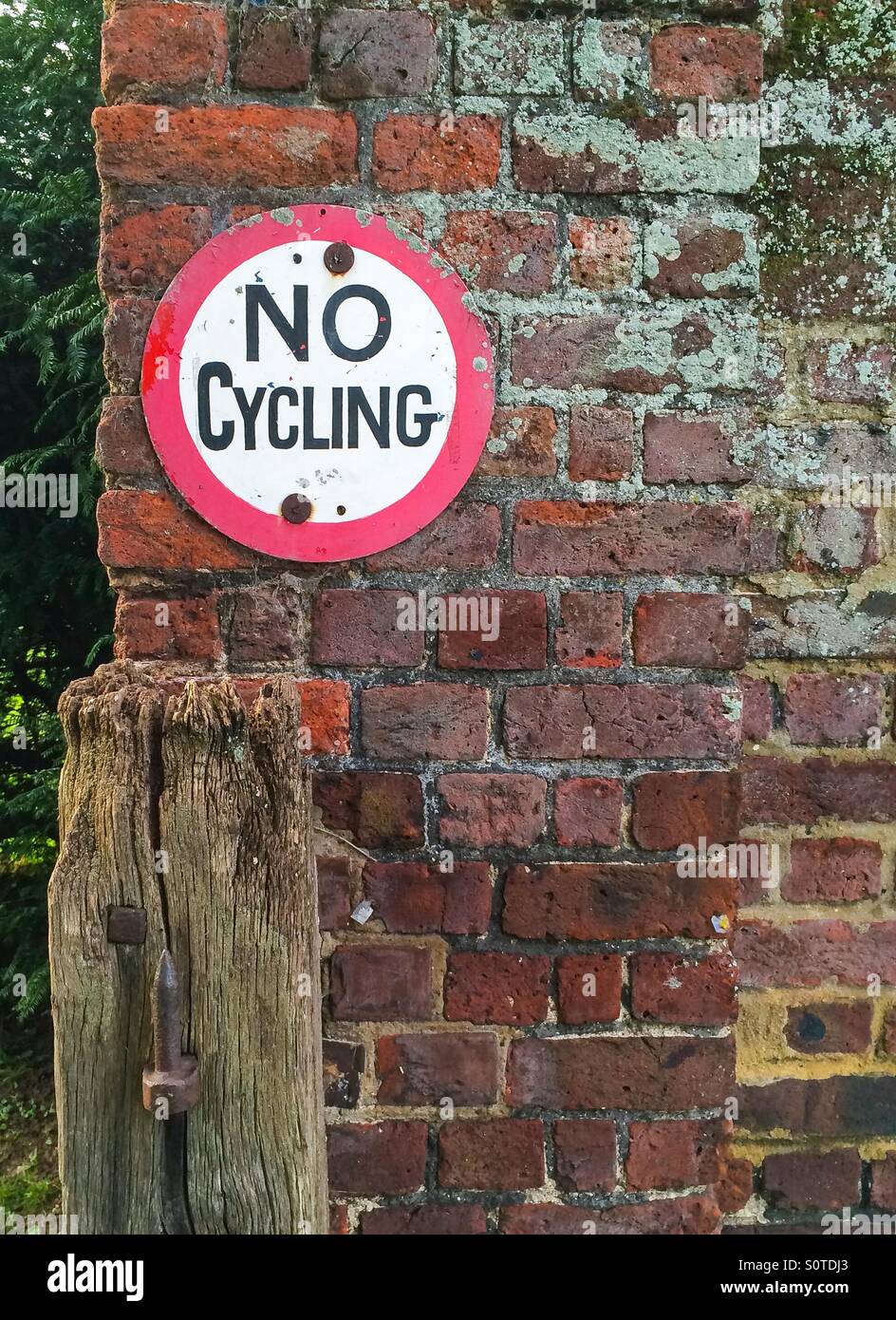 No cycling signs hi-res stock photography and images - Alamy