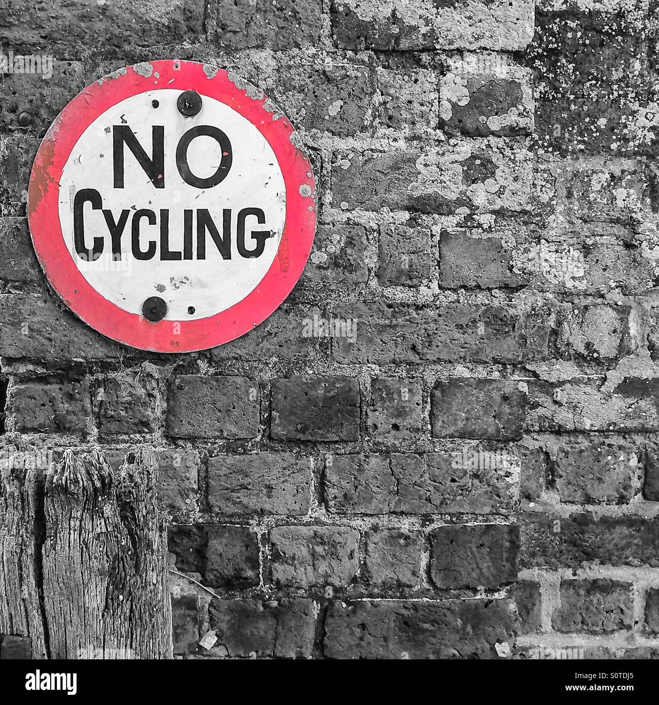 No cycling signs hi-res stock photography and images - Alamy