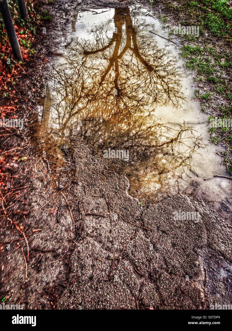 Puddle reflection on path hi-res stock photography and images - Alamy