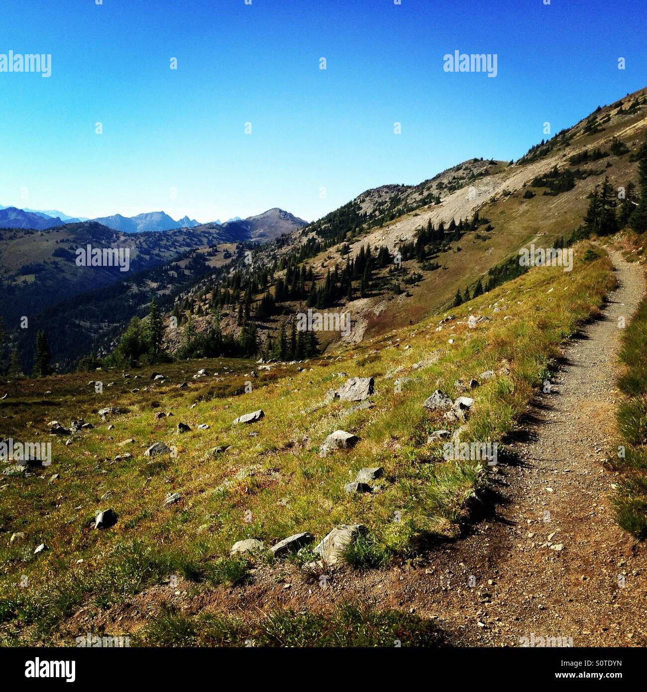 The road less traveled hi-res stock photography and images - Alamy