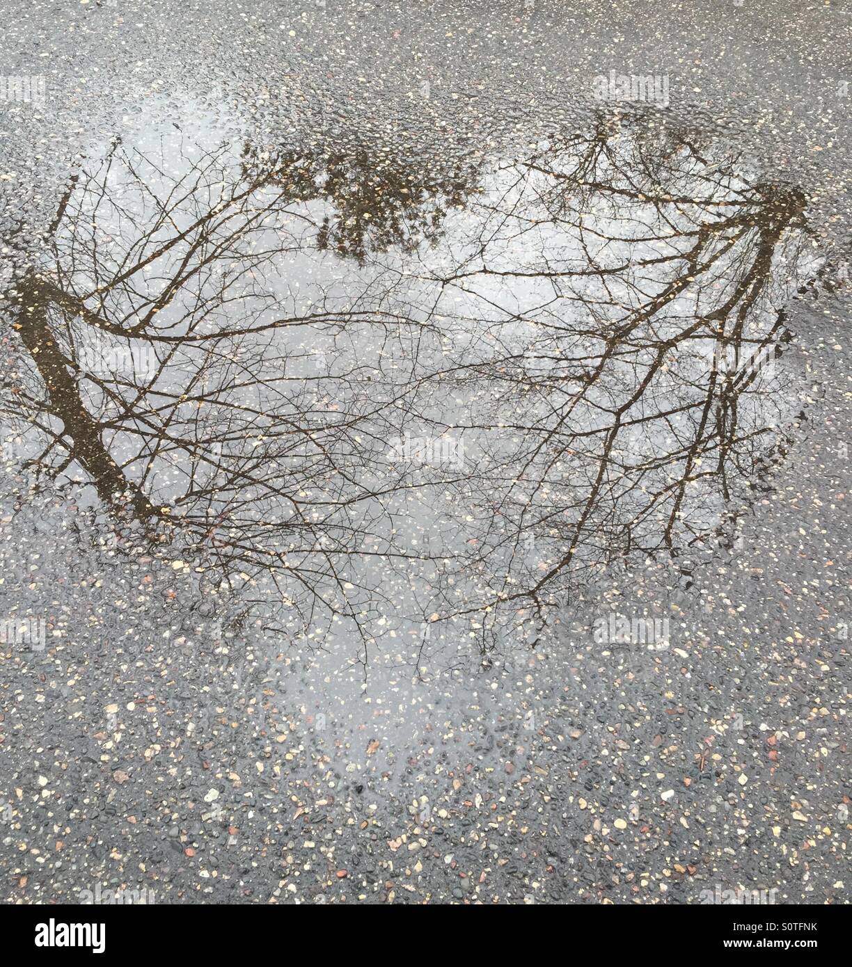 Heart reflection hi-res stock photography and images - Alamy