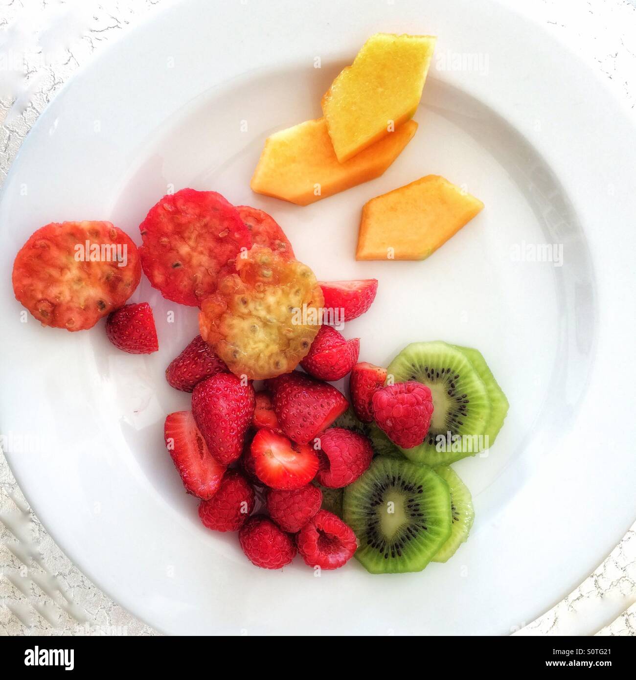 Prickly plate hi-res stock photography and images - Alamy