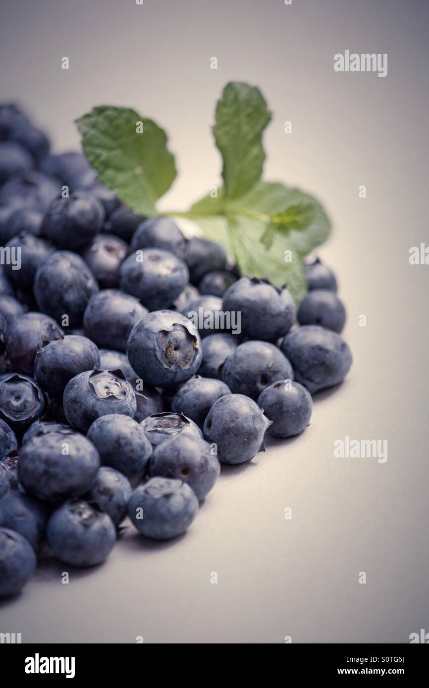 Heidelbeeren hi-res stock photography and images - Alamy
