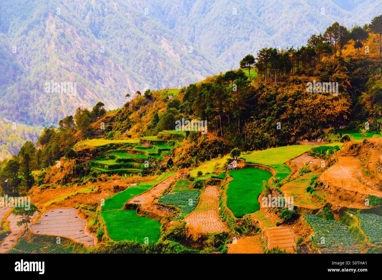 Sagada Philippines High Resolution Stock Photography and Images - Alamy