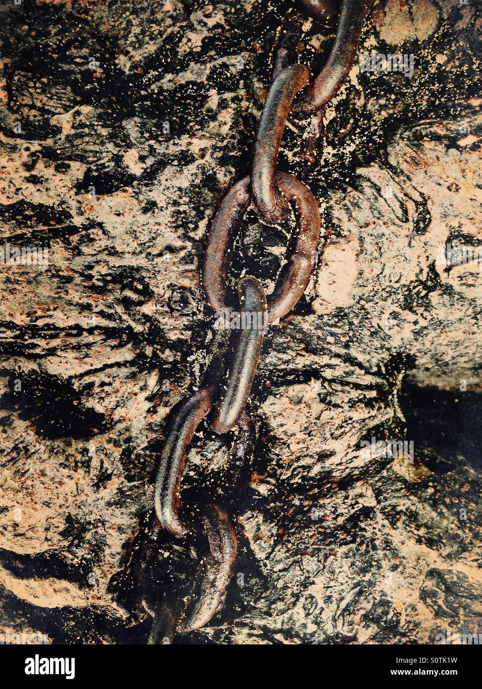 Chained tree hi-res stock photography and images - Alamy