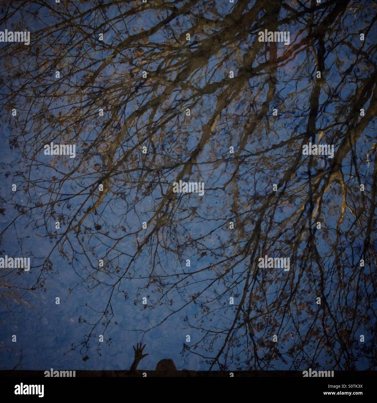 Body reflect hi-res stock photography and images - Alamy